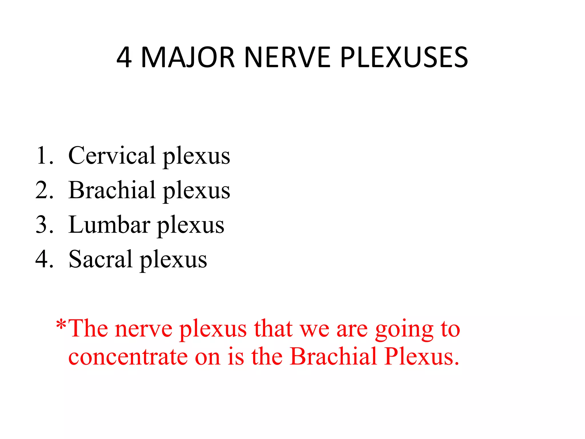 Vines idol brachial plexus ppt trans | PPT