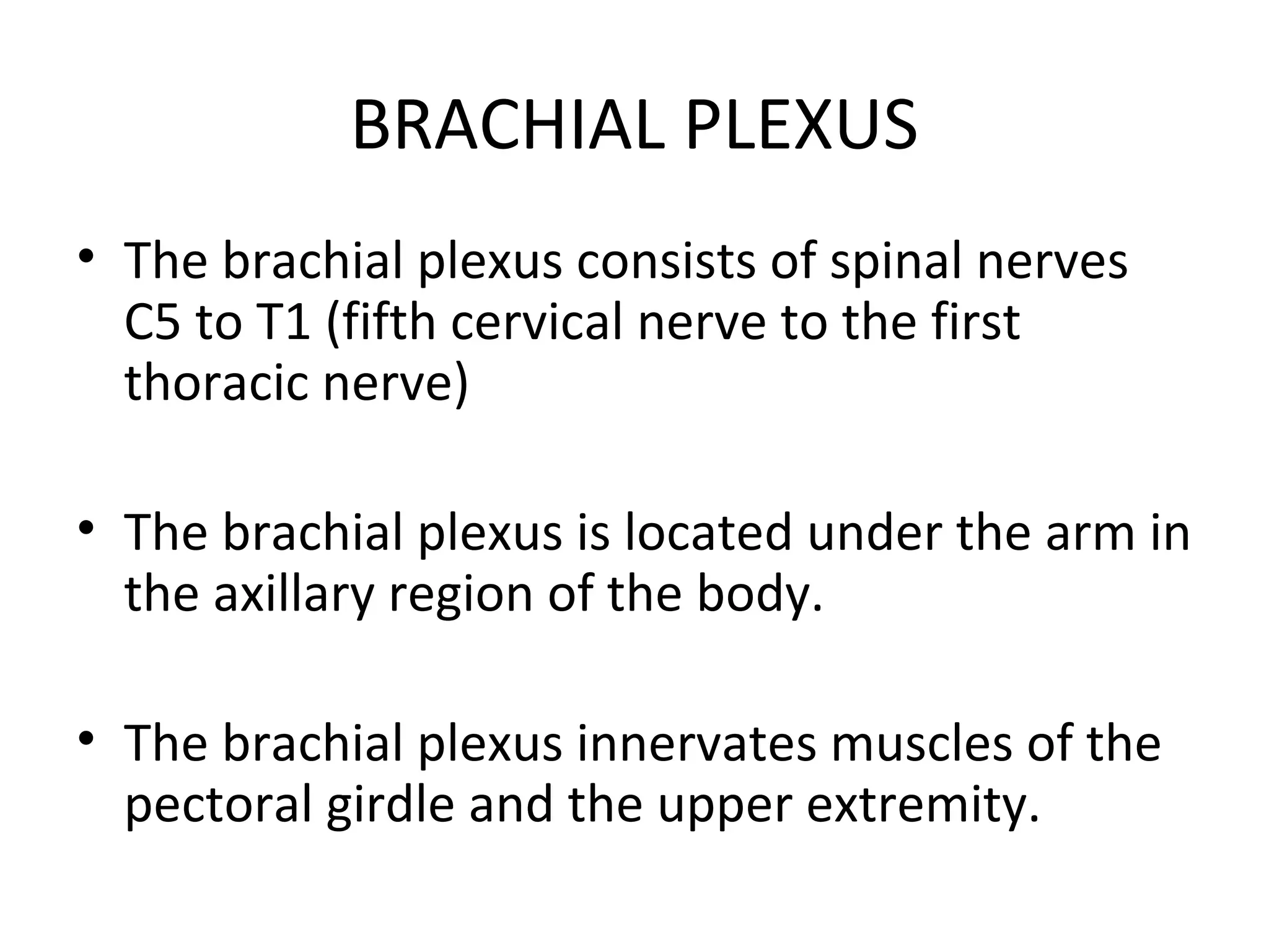 Vines idol brachial plexus ppt trans | PPT