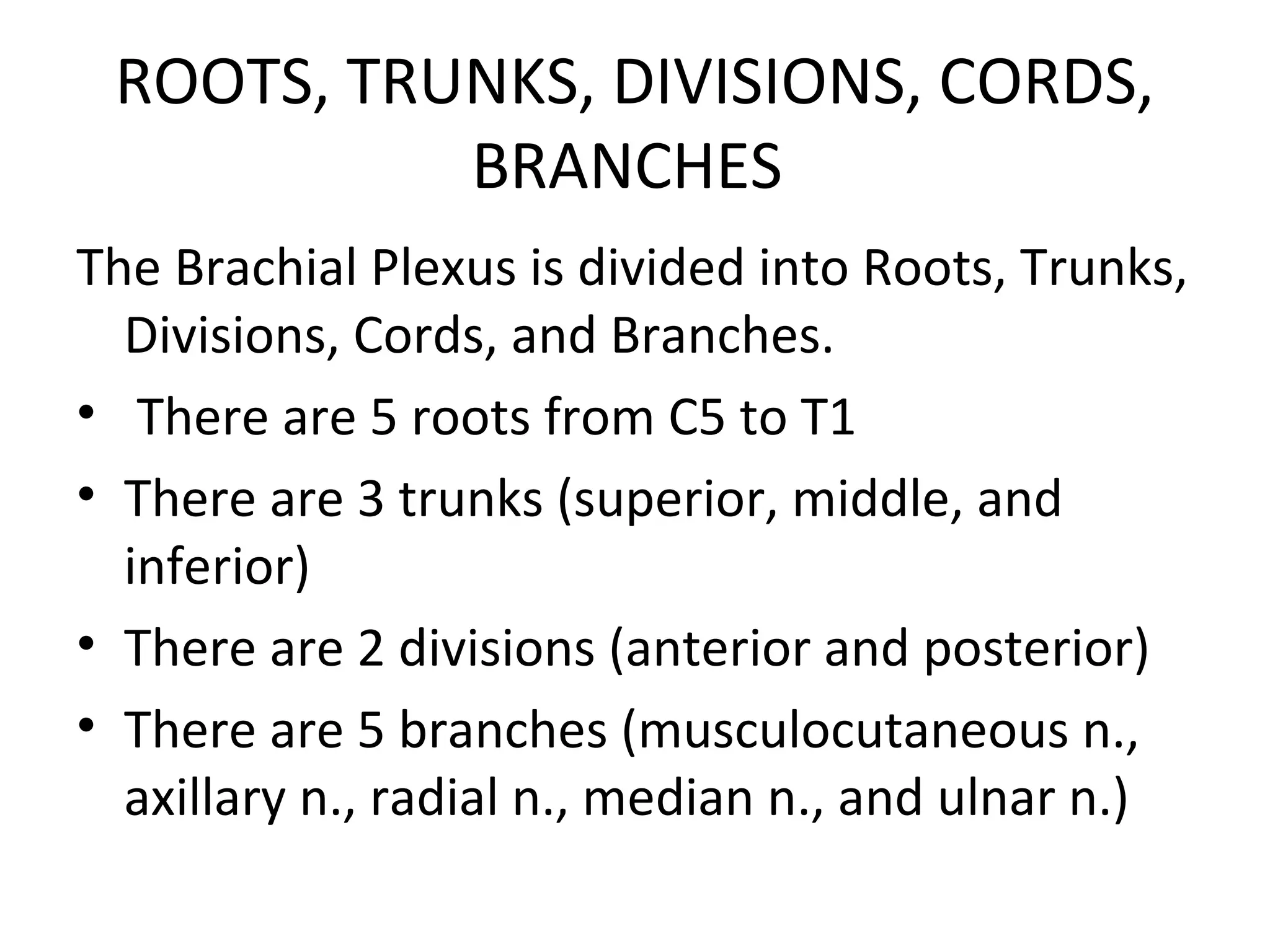 Vines idol brachial plexus ppt trans | PPT