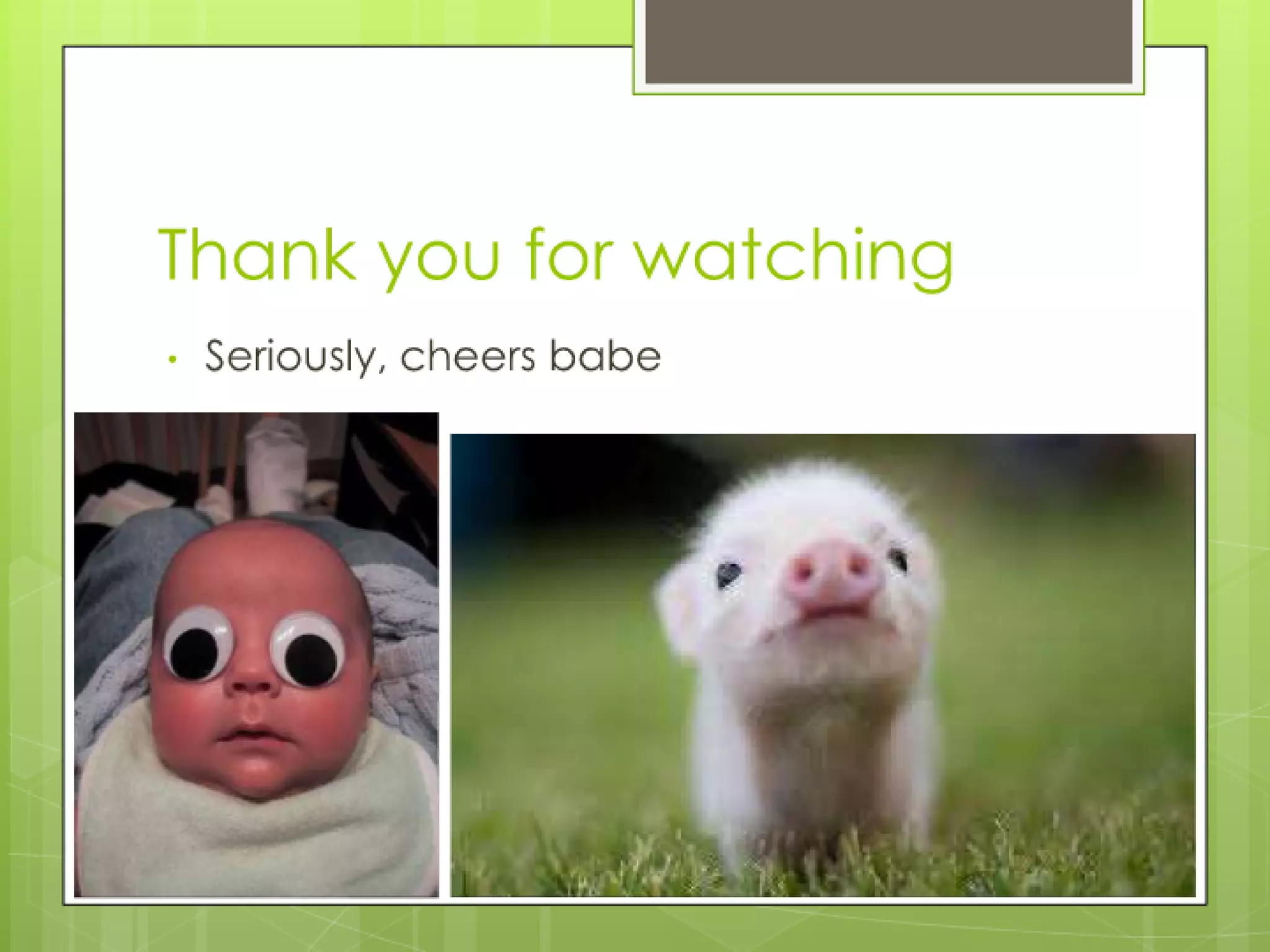 Vines presentation | PPT