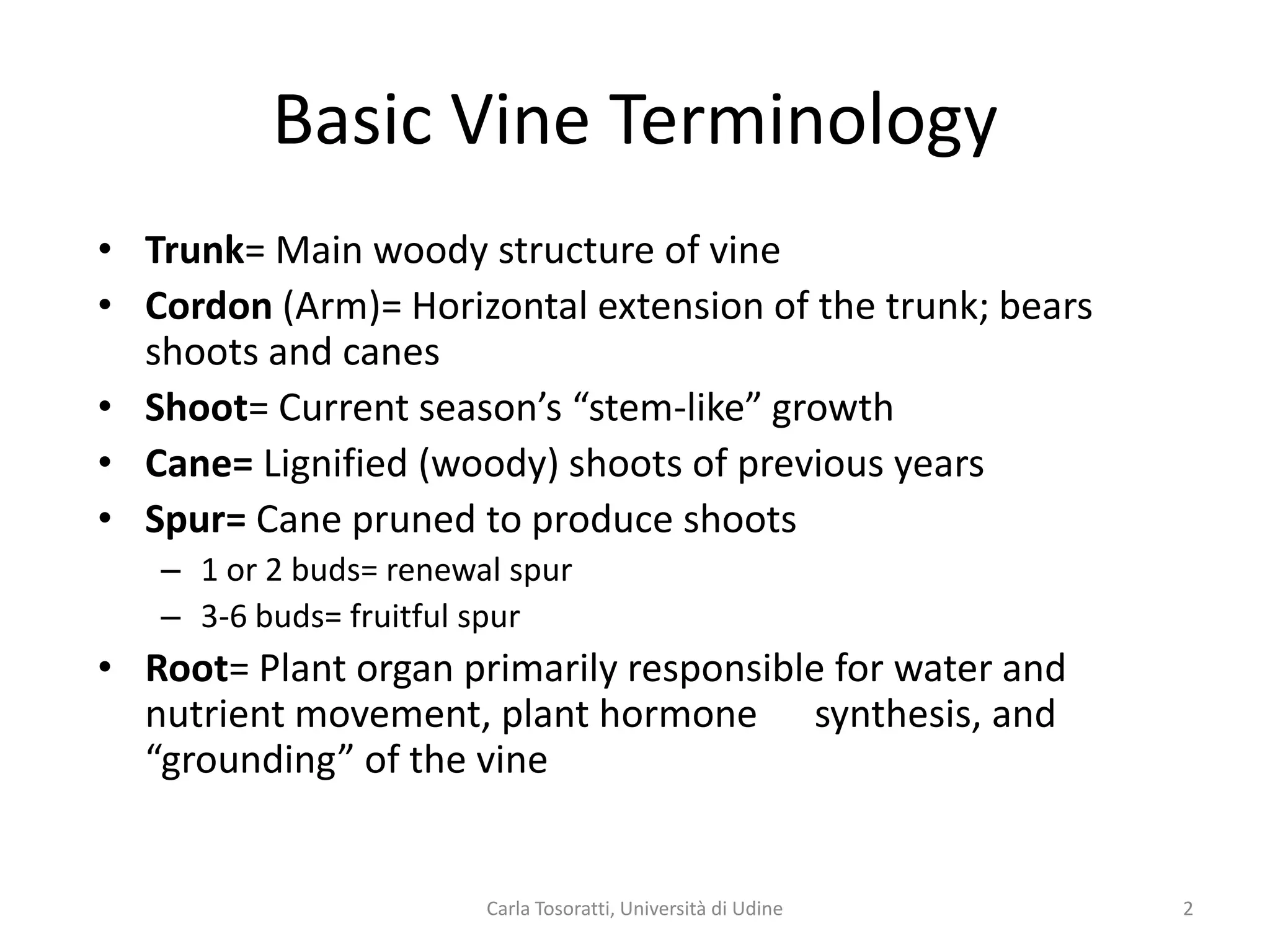 Vine structure | PPTX