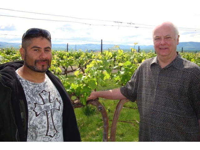 Walla Faces Vineyards | PPTX