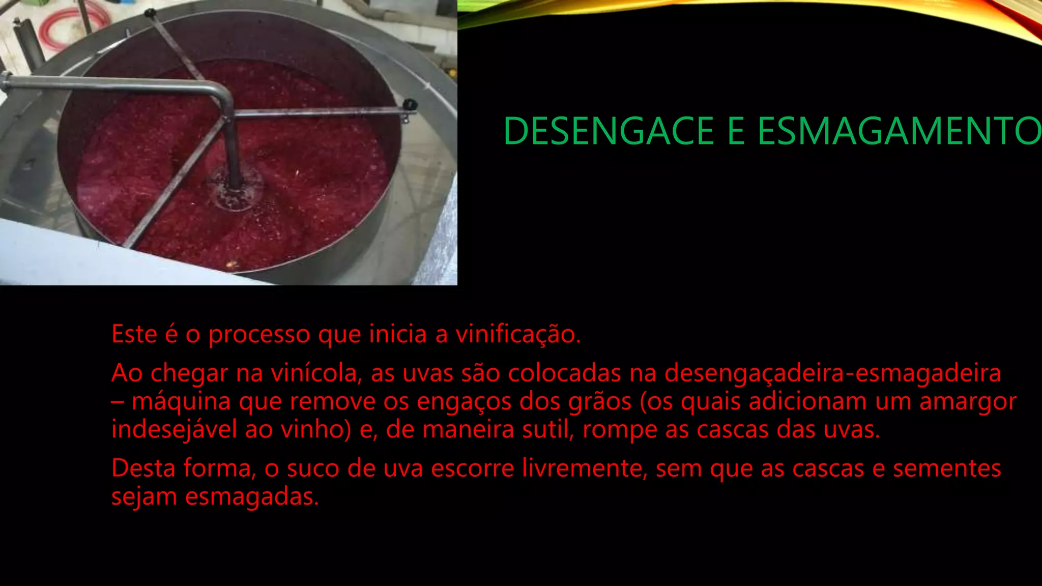 Processo de produção do vinho | PPTX