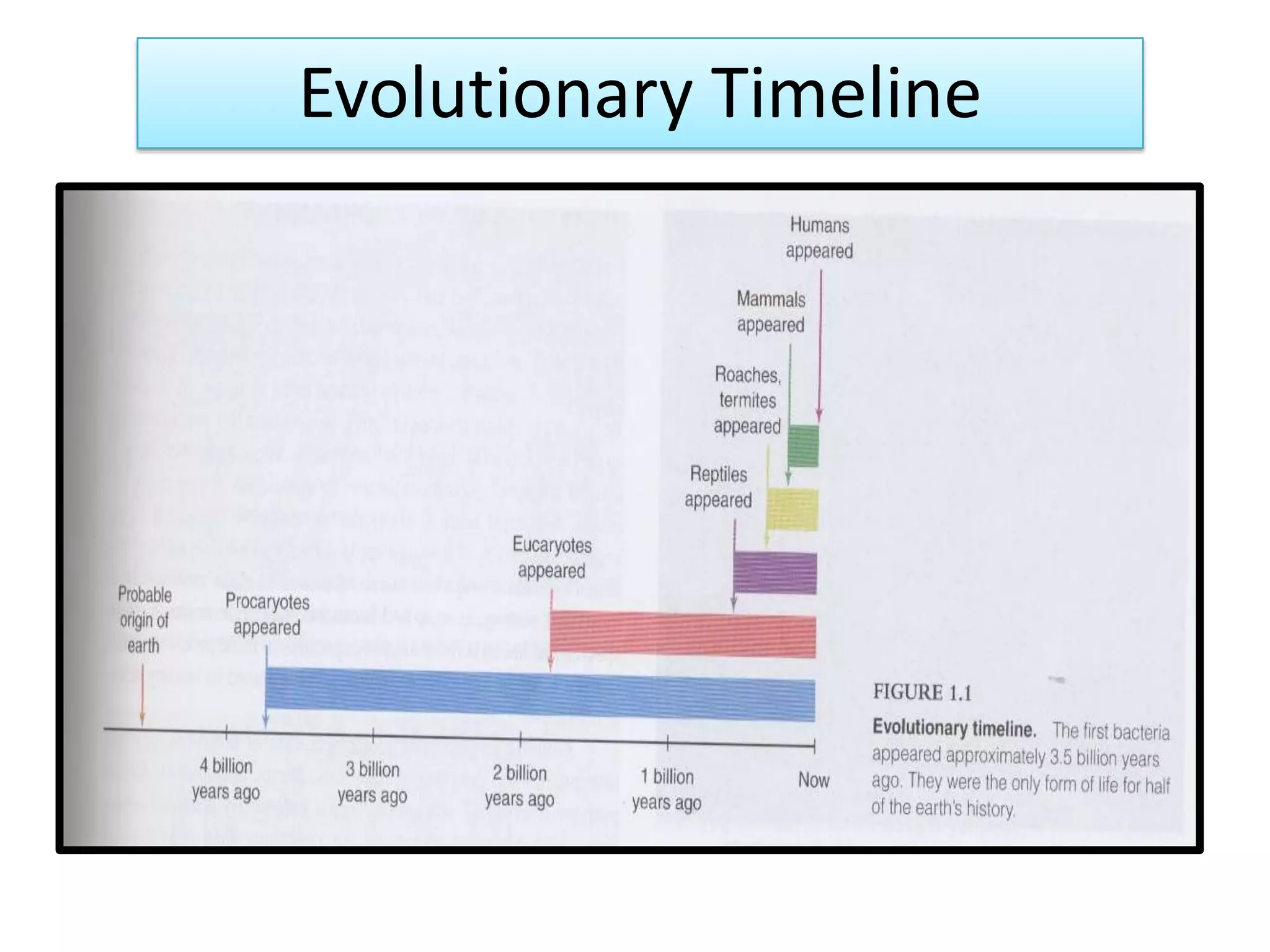 General Characters Of Microorganisms | PPTX