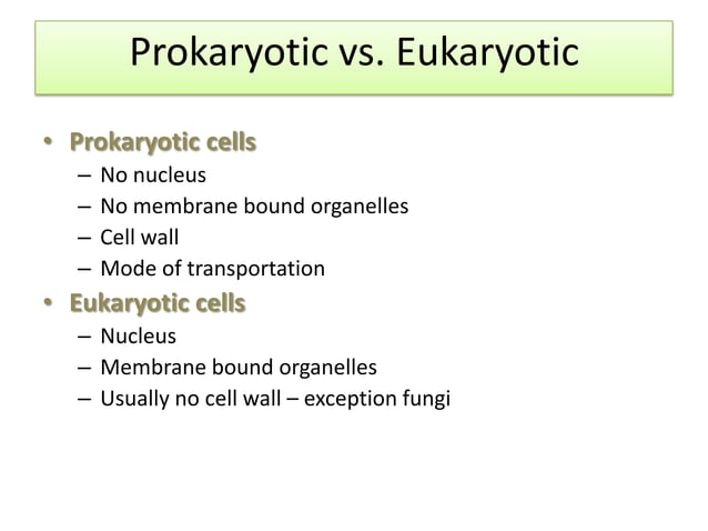 General Characters Of Microorganisms | PPTX | Biological Sciences | Science