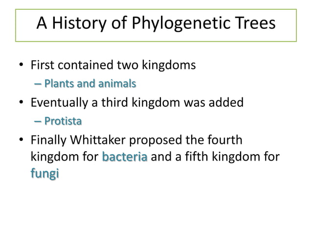 General Characters Of Microorganisms | PPTX | Biological Sciences | Science