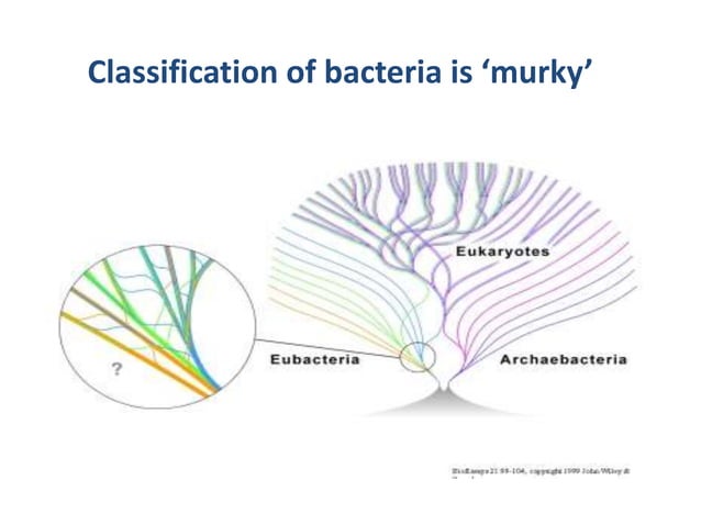 General Characters Of Microorganisms | PPTX | Biological Sciences | Science