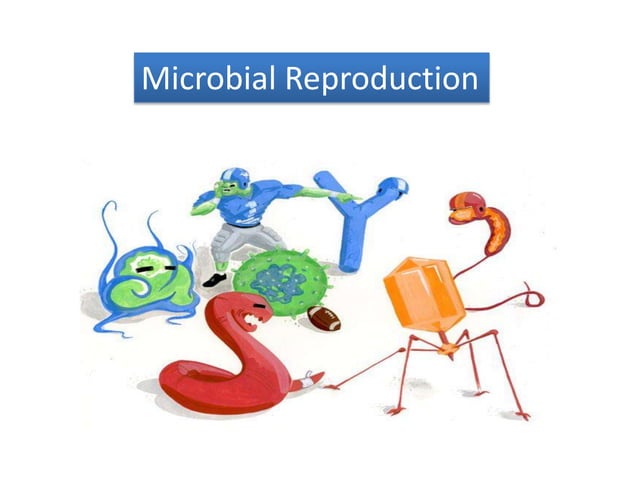 General Characters Of Microorganisms | PPTX | Biological Sciences | Science