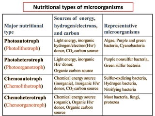 Types Of Microorganisms Chart