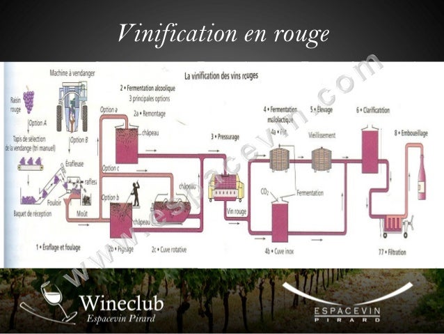 Atelier Vinifications