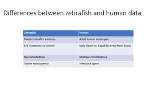 Fishing for treatments for human sepsis: lessons from a zebrafish model ...