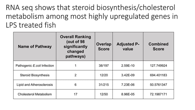 Fishing for treatments for human sepsis: lessons from a zebrafish model ...