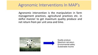 Vinit medicinal ppt | PPTX