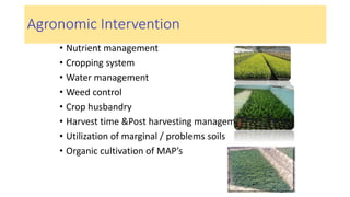 Vinit medicinal ppt | PPTX
