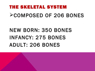 The Skeletal System - Complete | PPT