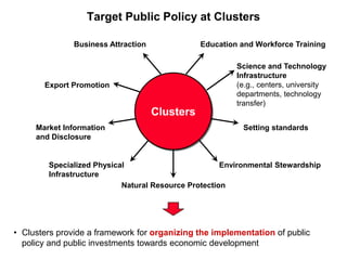 Clusters and Cluster Initiatives: Recent Learnings, Current Challenges ...