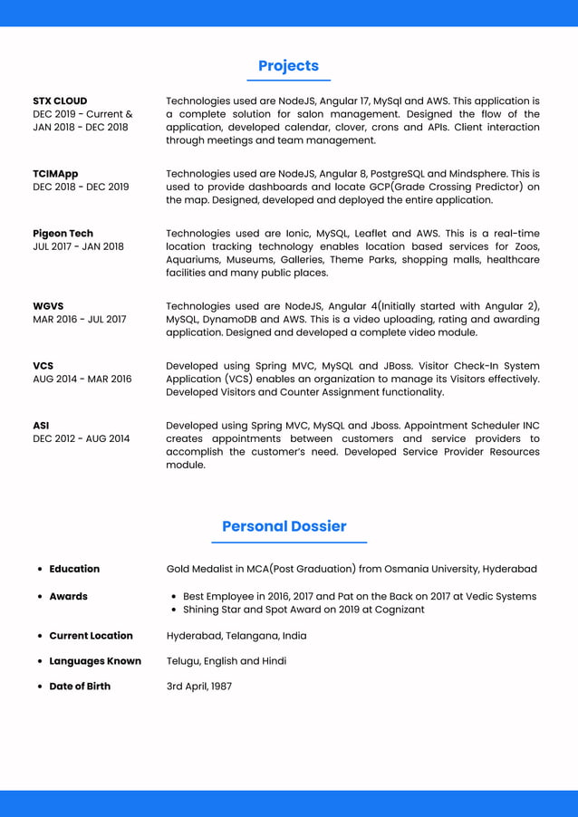 Professional Resume Template for Software Developers | PDF