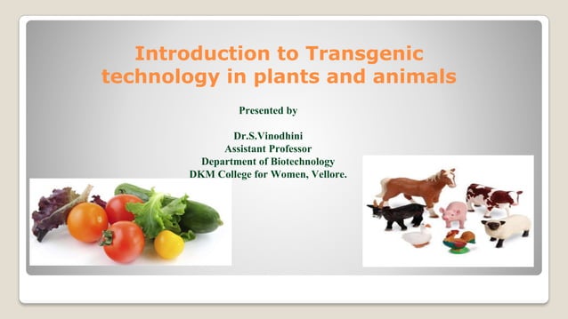 General transfer and transgenic technology in plant and animal | PPT