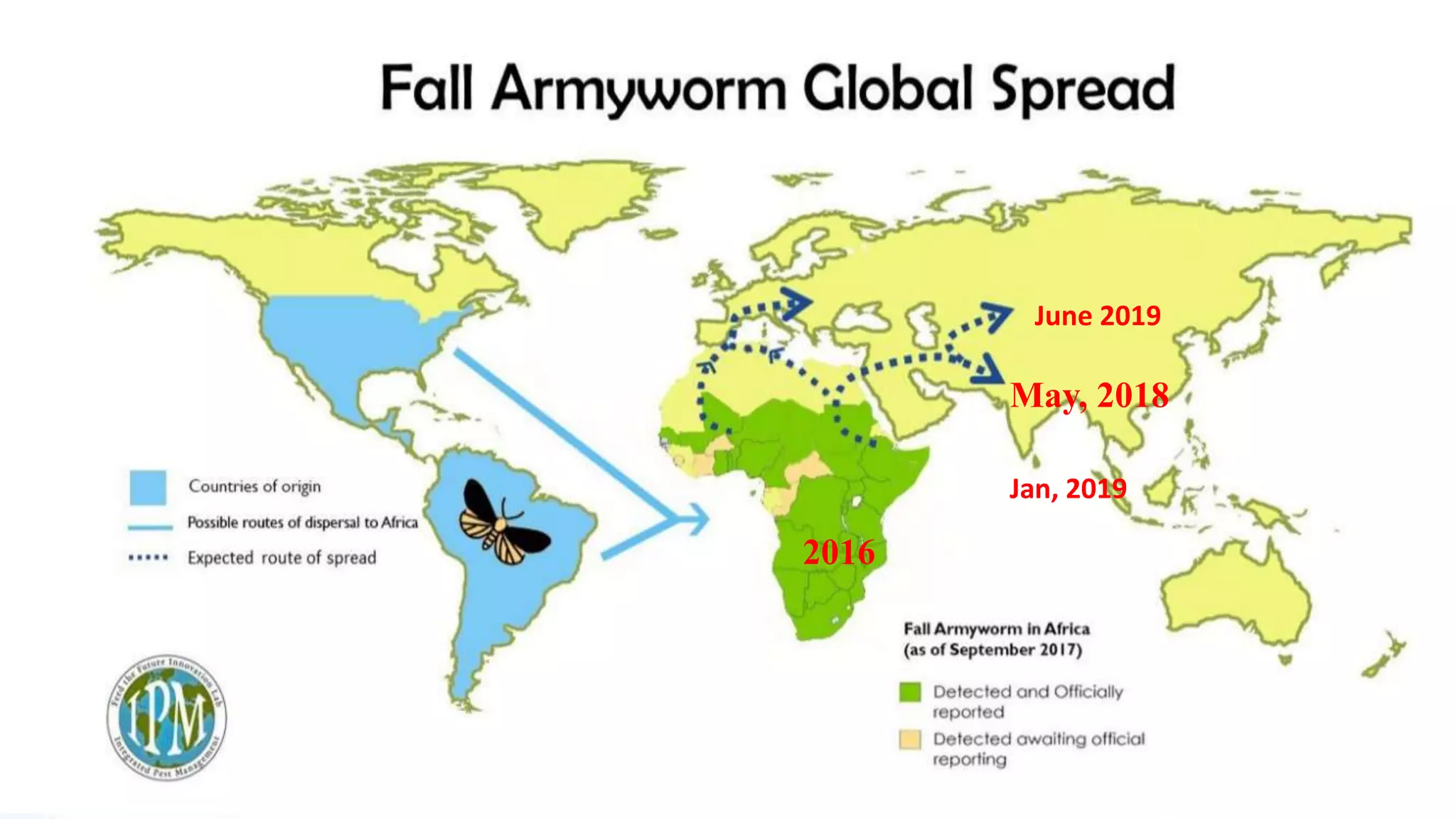 Fall Armyworm, Spodoptera frugiperda (J.E. Smith) (Lepidoptera ...