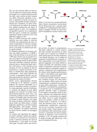 Vino, gatti e odori: l'ecologia chimica tra uomini e topi | PDF