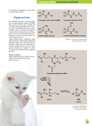 Vino, gatti e odori: l'ecologia chimica tra uomini e topi | PDF