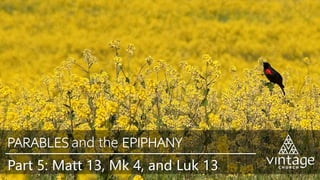 Parables and The Epiphany: Mark 4, Matt 13 & Luke 13 - The Mustard Seed ...