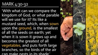 Parables and The Epiphany: Mark 4, Matt 13 & Luke 13 - The Mustard Seed ...