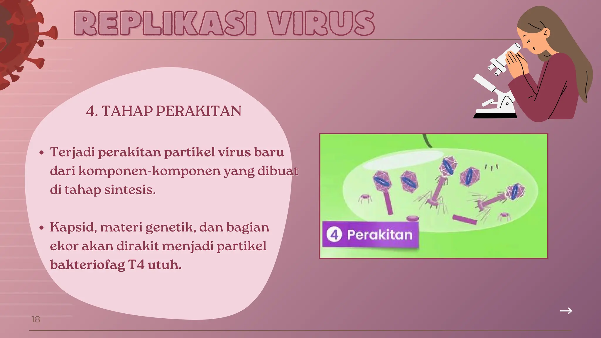 Power Point Virus Biology education class X.pdf
