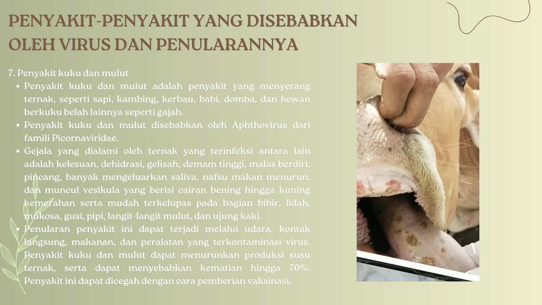 Power Point Virus Biology education class X.pdf