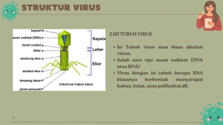 Power Point Virus Biology education class X.pdf