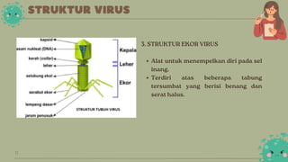 Power Point Virus Biology education class X.pdf