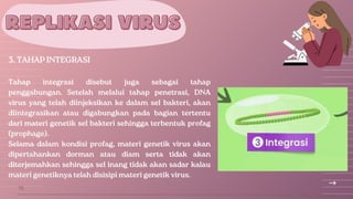 Power Point Virus Biology education class X.pdf