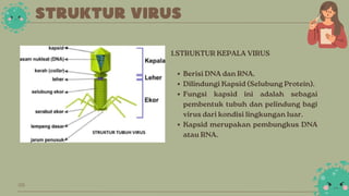 Power Point Virus Biology education class X.pdf
