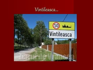Vintileasca | PPT