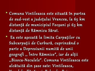 Vintileasca | PPT