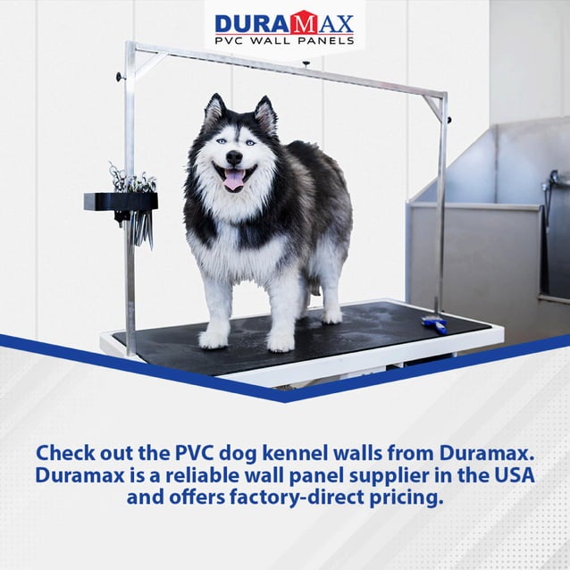 Vinyl-Wall-Coverings-for-Dog-Kennels-Ensuring-Hygiene-and-Longevity.pdf