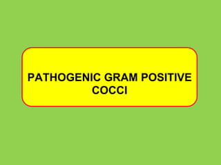 Chapter_4_Pathogenic_Gram_positive_cocci.pptx