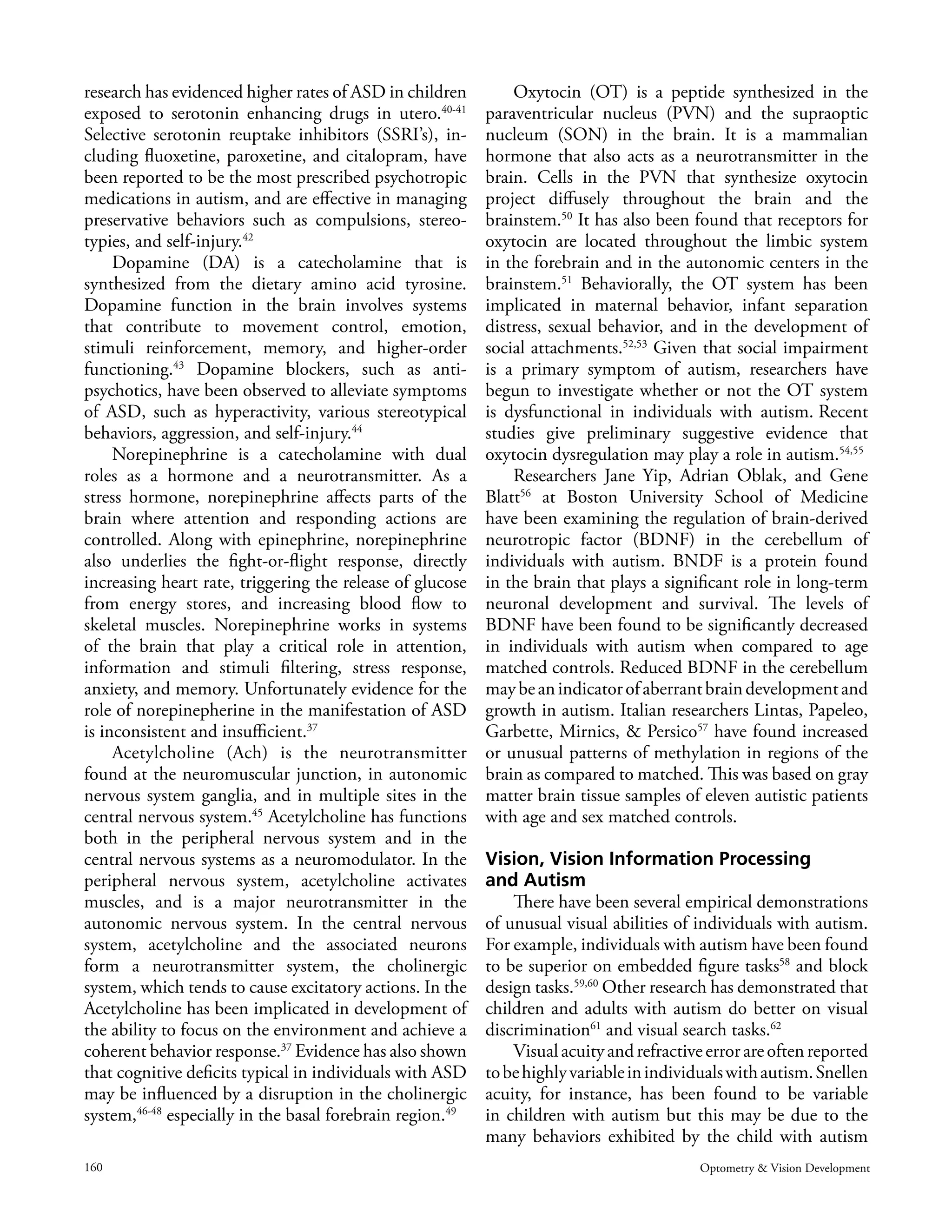 Brain Anatomy, Electrophysiology And Visual | PDF