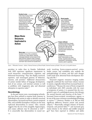 Brain Anatomy, Electrophysiology And Visual | PDF