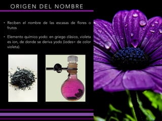 El Color Violeta | PDF