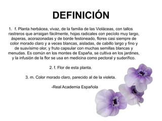 Violeta | PPTX