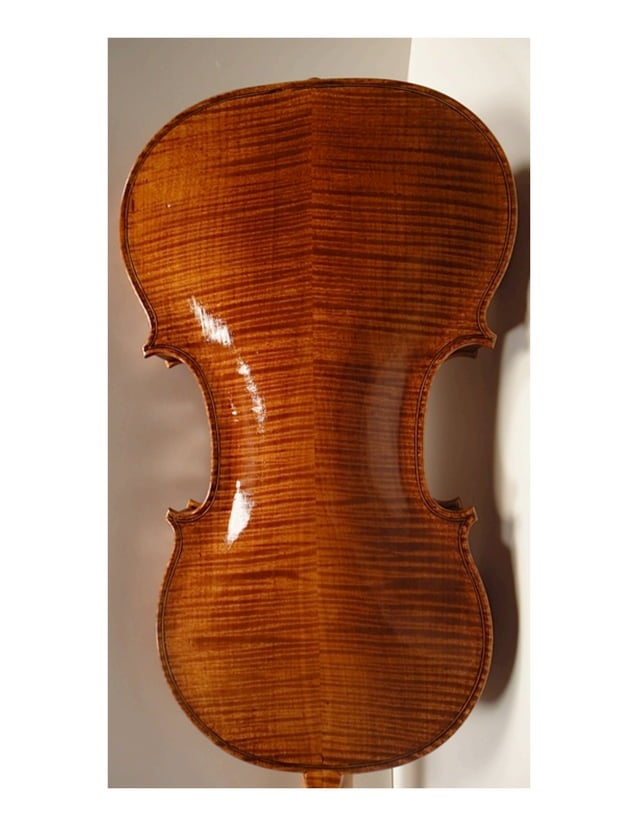 Violin Back | PDF