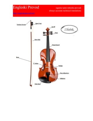 Violina | DOC