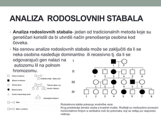 Viorika krecu genetika | PPT