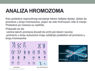 Viorika krecu genetika | PPTX