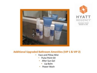 Vip amenities presentation | PPTX