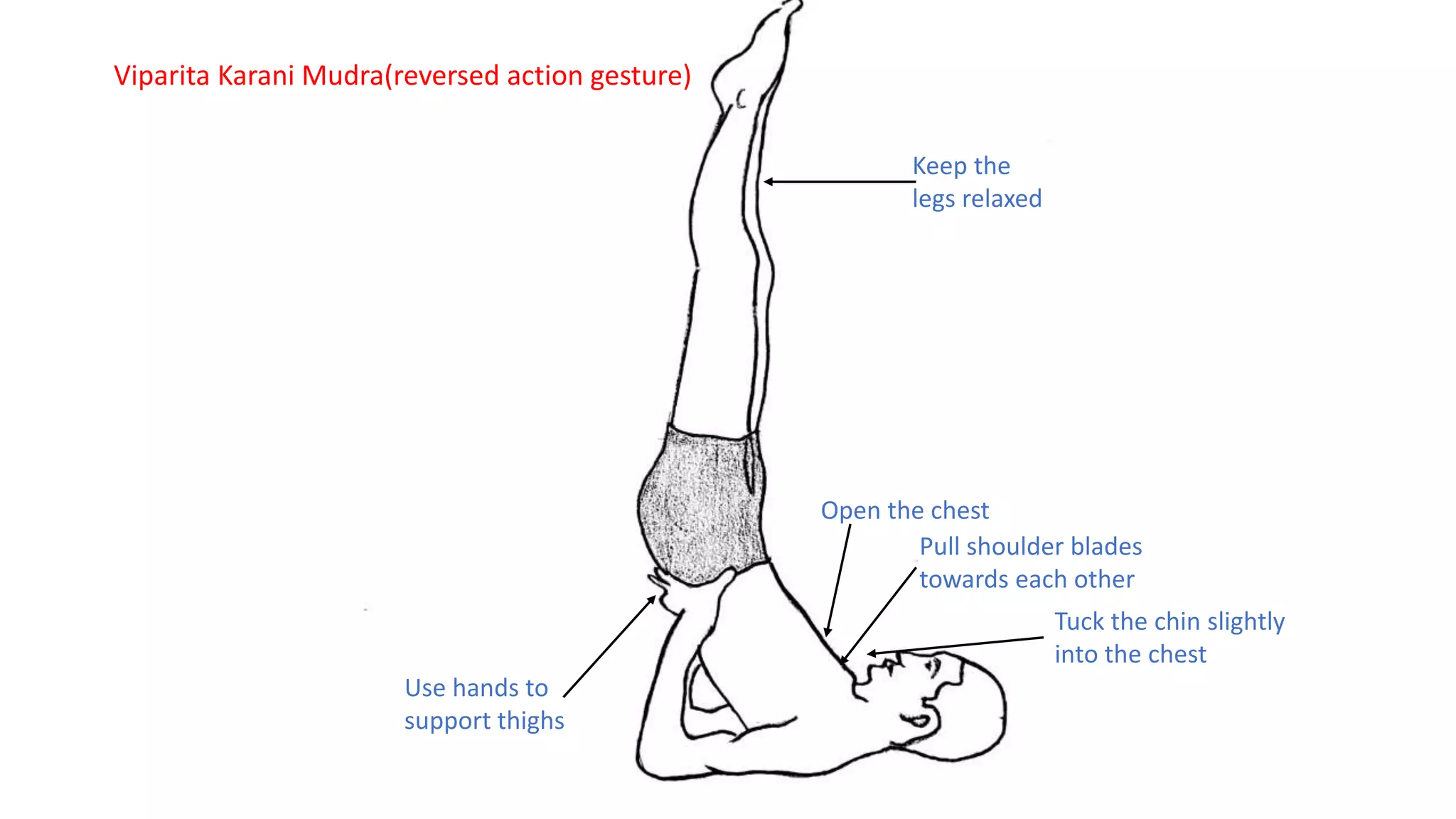 asana alignment cues | PPTX