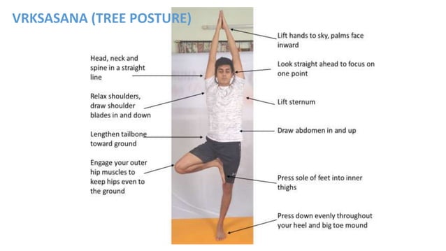 asana alignment cues | PPT