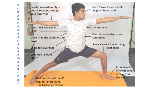 asana alignment cues | PPT