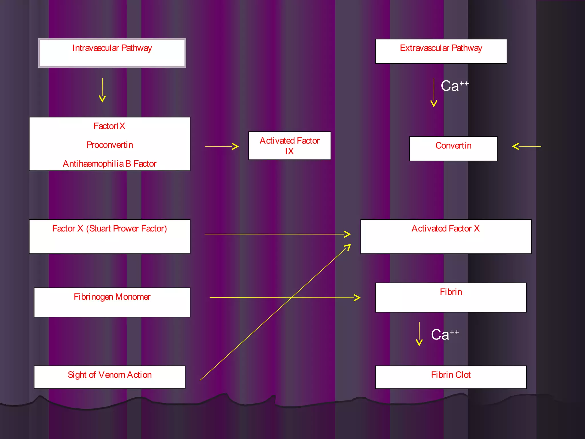 Viper Bite An Overview | PPT